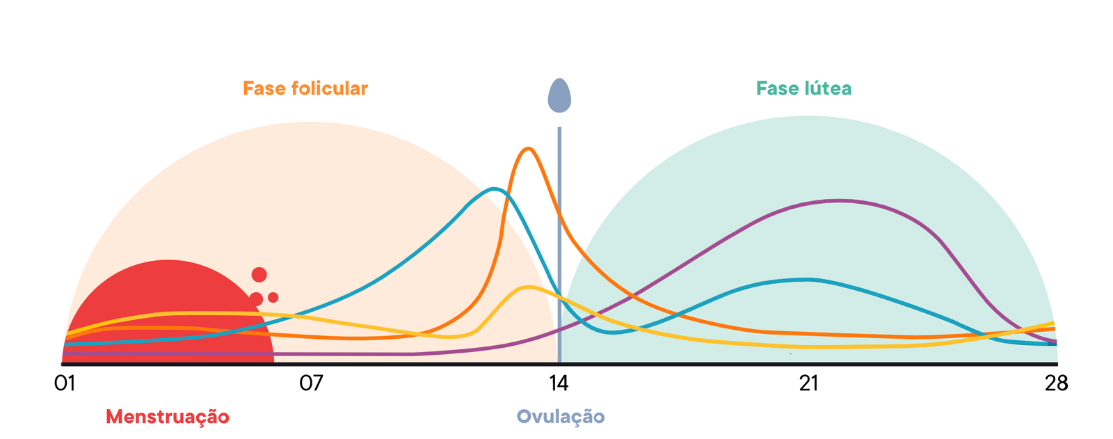 Sexo e menstruação: Tudo que você precisa saber